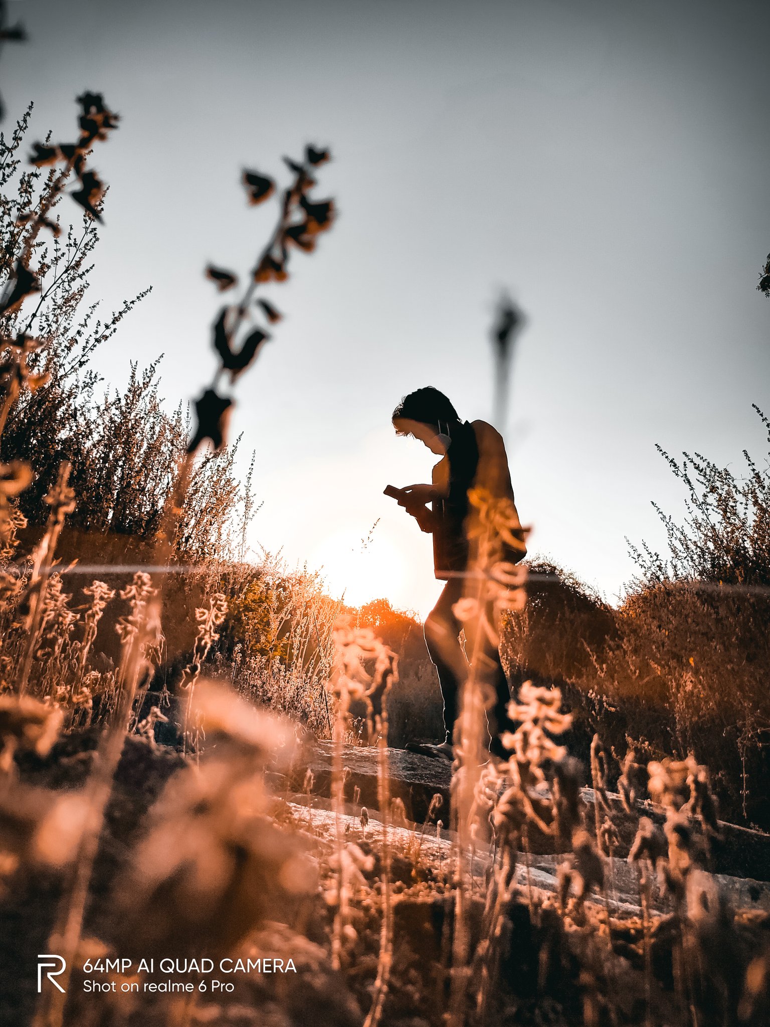 Rishav Kumar (@Stray_captures) / Twitter