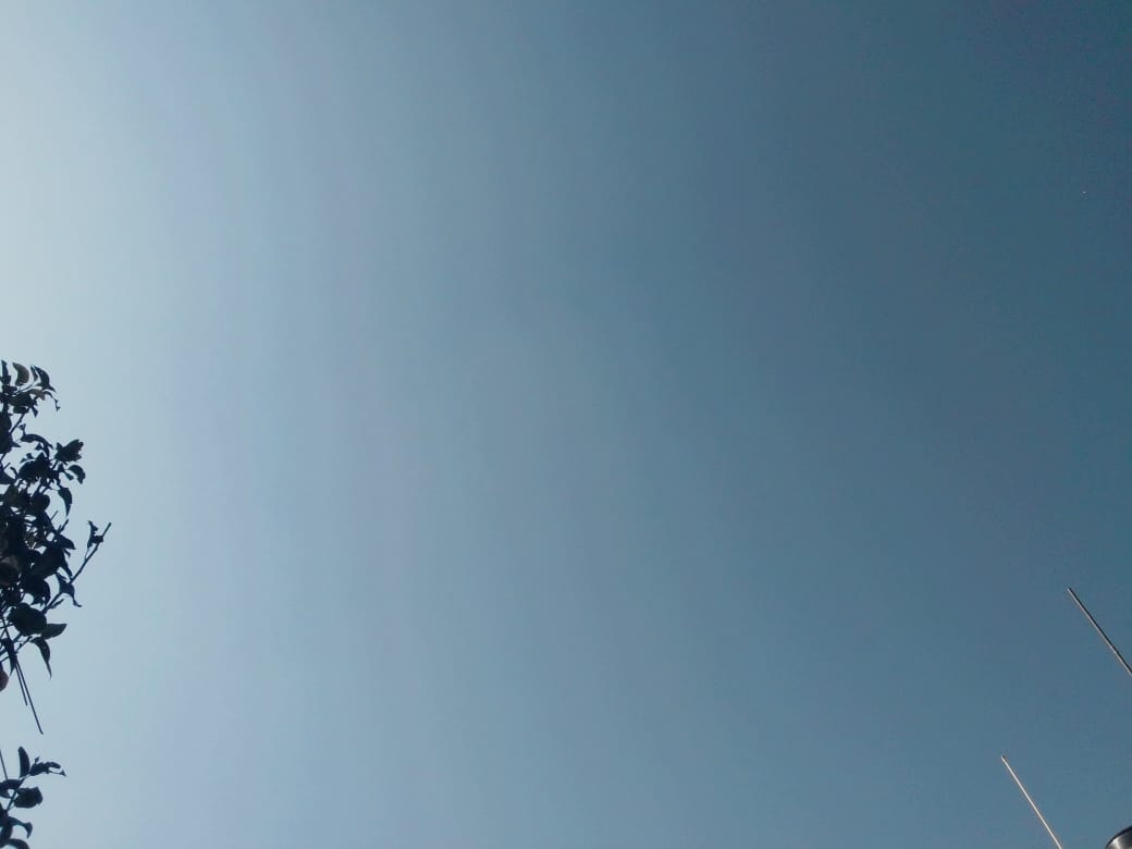 Sofia Trujillo Sofotrujillo Twitter 9126