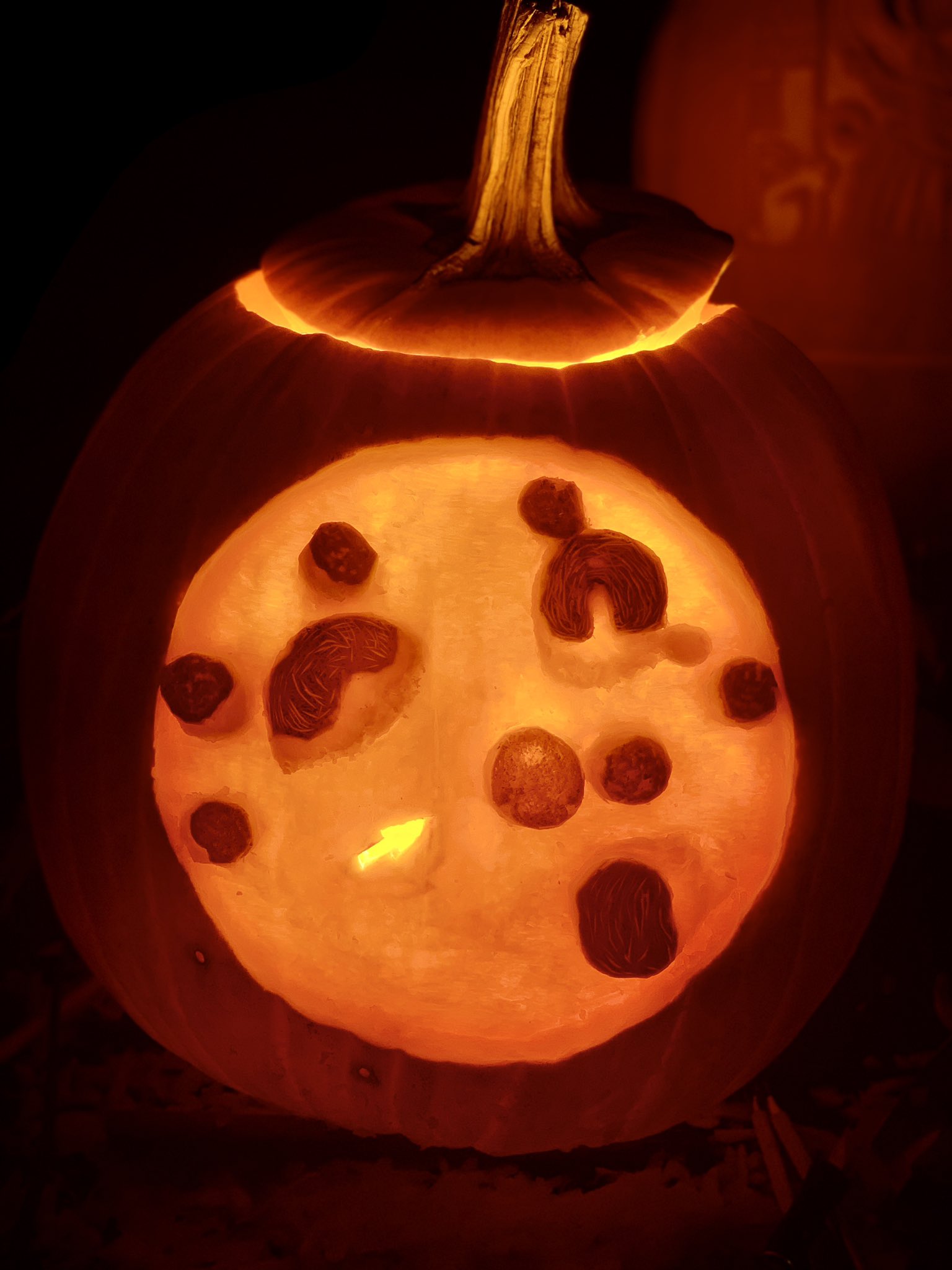 Ladybug Pumpkin Stencil