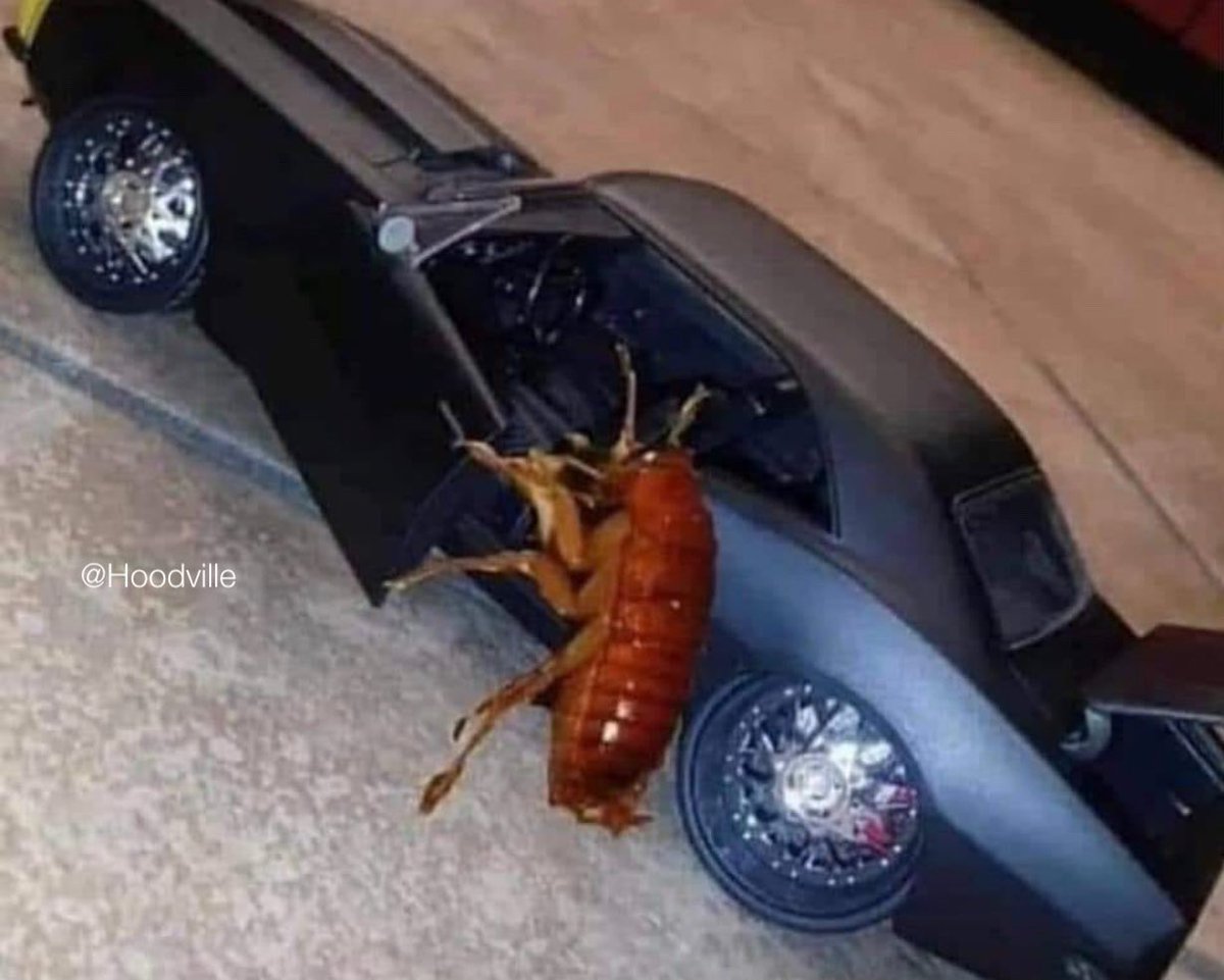 Nick Esqueda (@Nicktrippin_) | Twitter