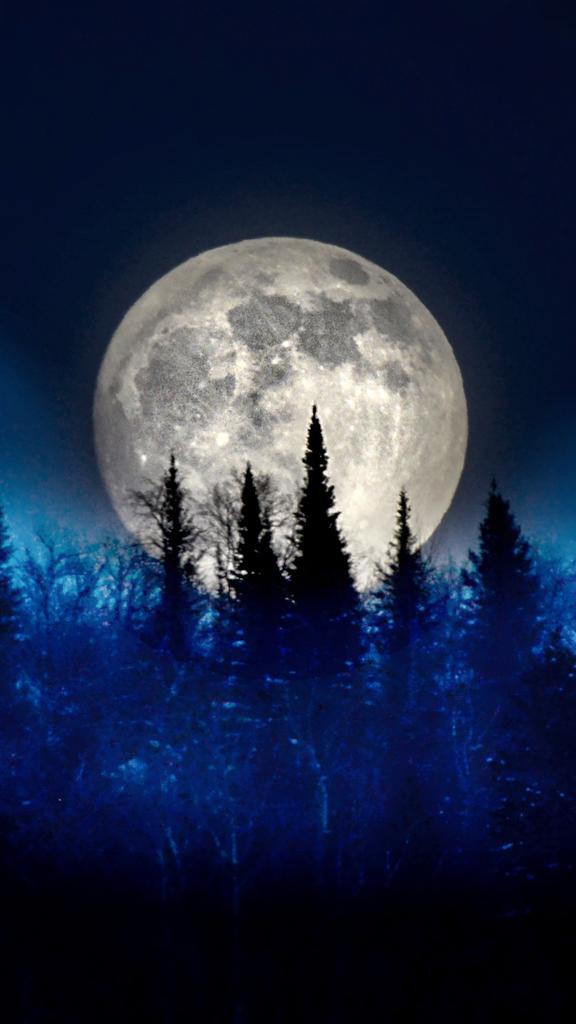 Sahan kumarasinghe (@Sahankumarasin2) | Twitter