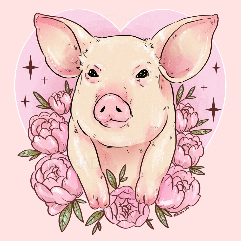 Cute Pigs Drawings Tumblr