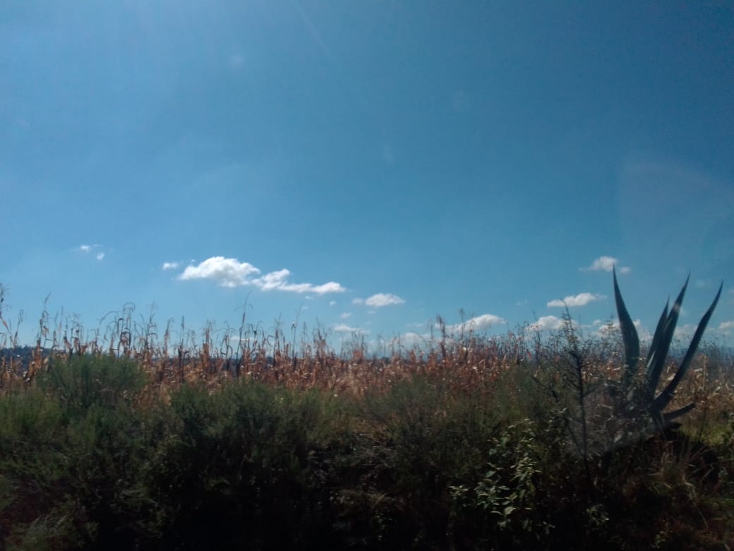 Sofia Trujillo Sofotrujillo Twitter 0888