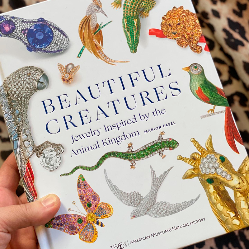 Beautiful Creatures Book Art