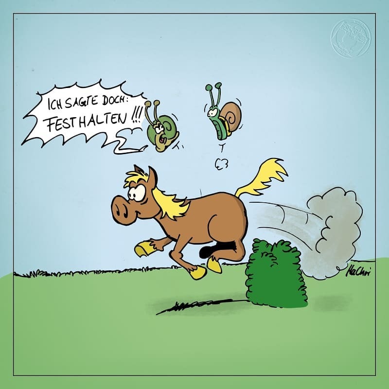 Lustige Cartoon Pferde Lustige Pferd Cartoon Mit Leeren Zeichen