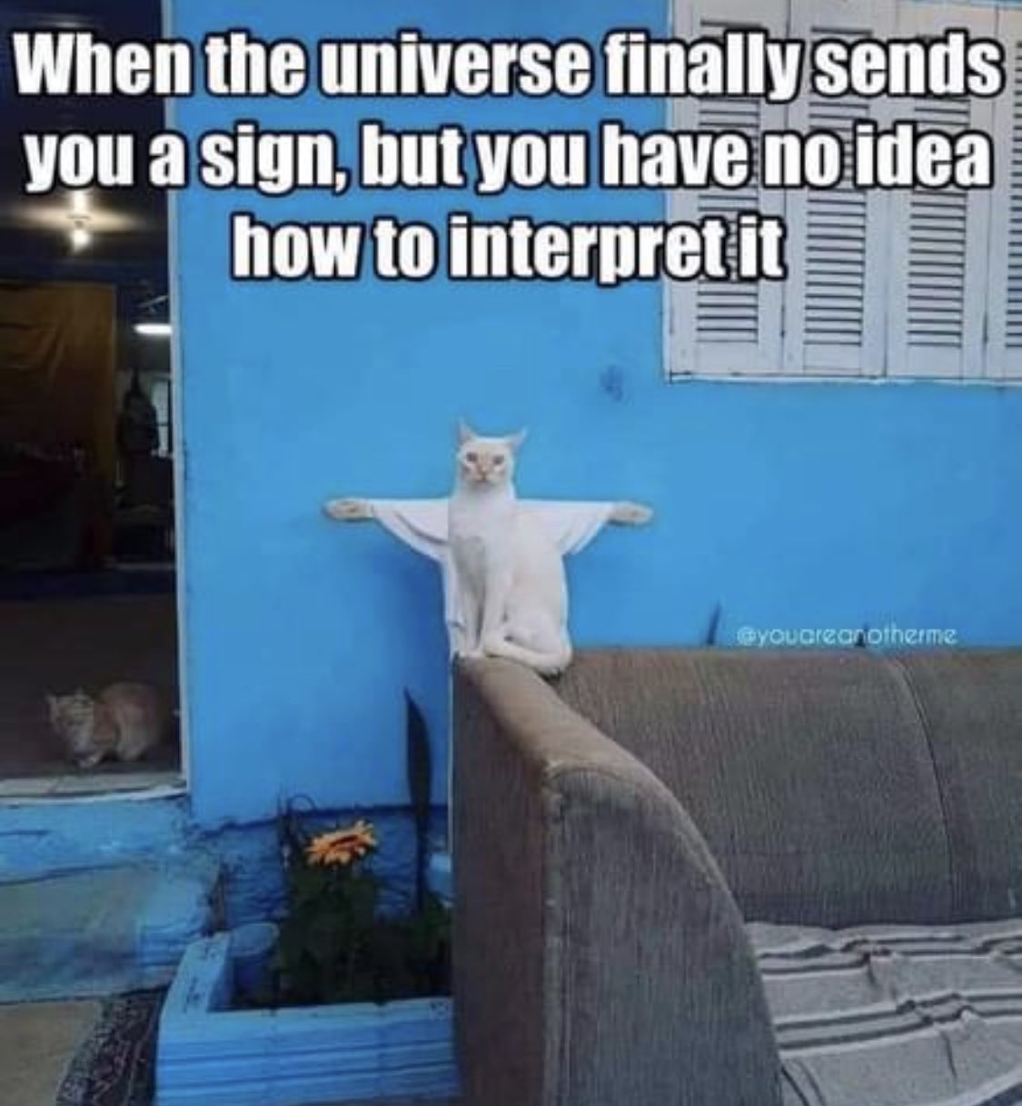 Funny Universe Memes Who Controls The Memes, Controls The Universe