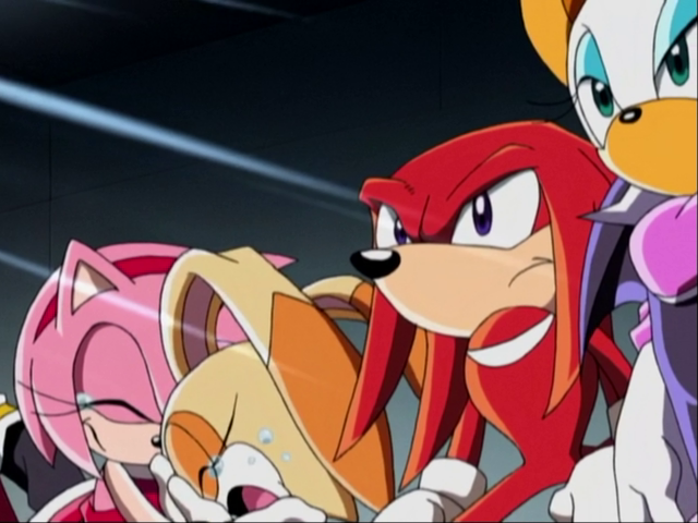 Sonic X Amy Crying