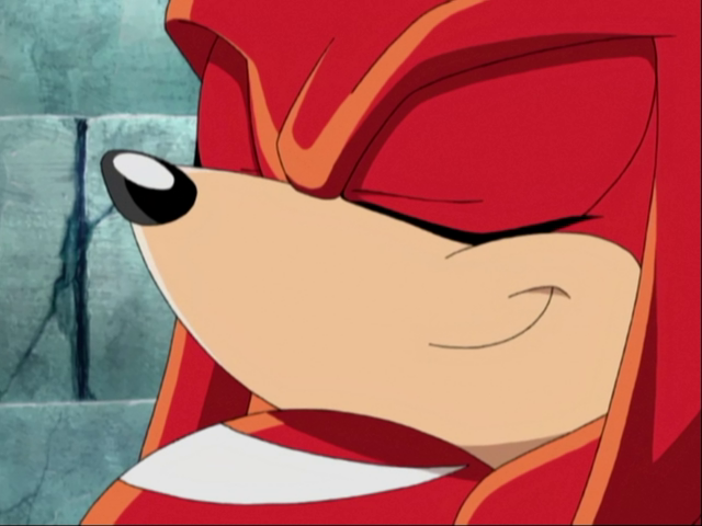 Sonic X Screenshots Knuckles