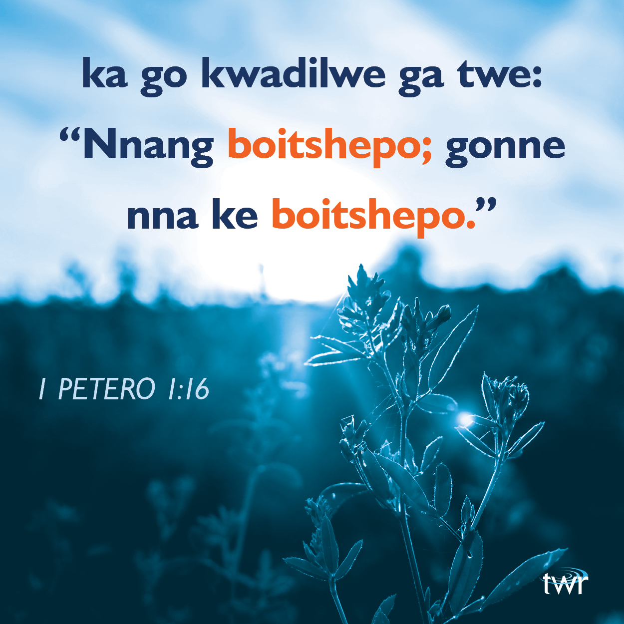 Setswana Quotes