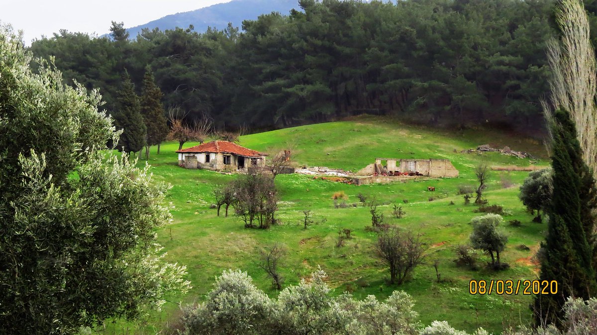 Ersan CEYLAN (@ersanceylan) | Twitter