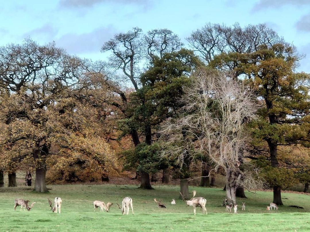 TW Pornstars - 4 pic. Billy King (18+). Twitter. Had an awesome walk ...