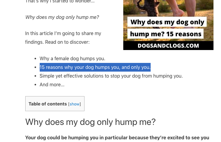 Why Does My Dog Hump Only Me