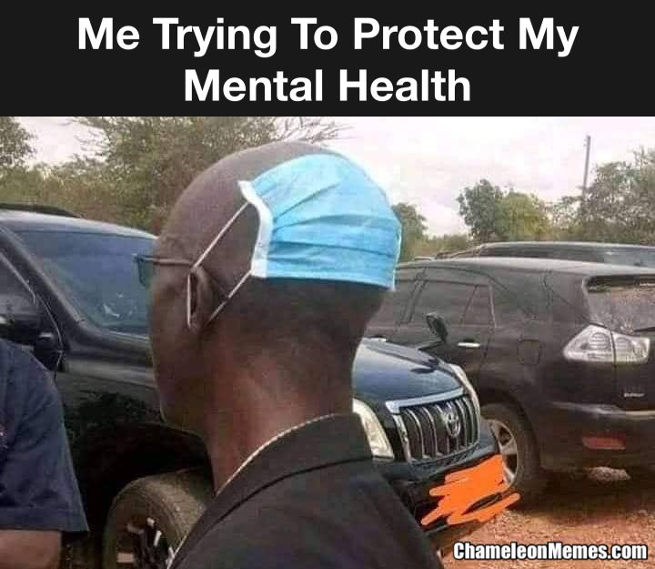 Funny Chameleon Memes