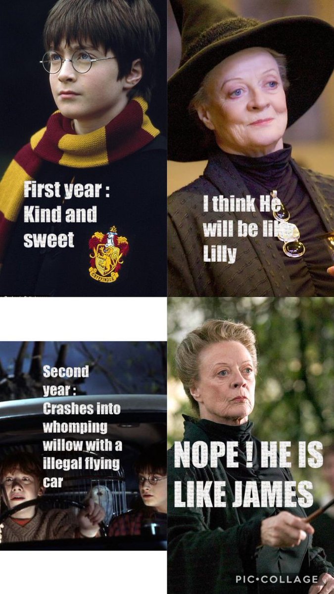 25 Best Memes About Ginny Weasley Ginny Weasley Memes
