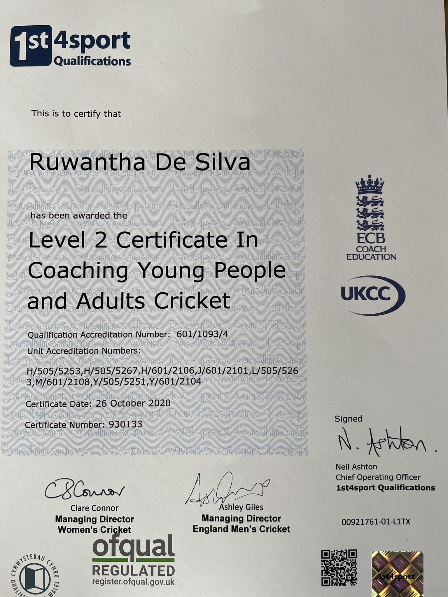 Cricket Level