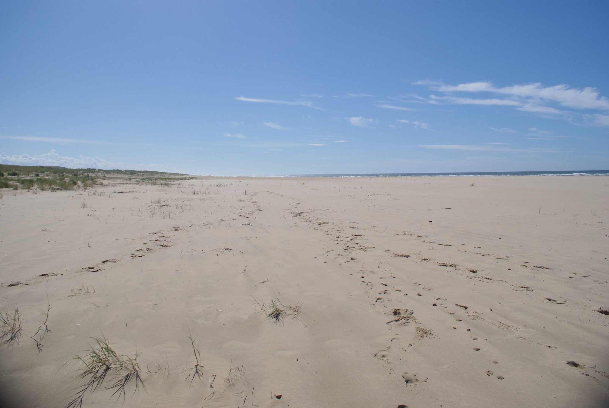 A Naturist World On Twitter As Well As An Article About The Bn Global