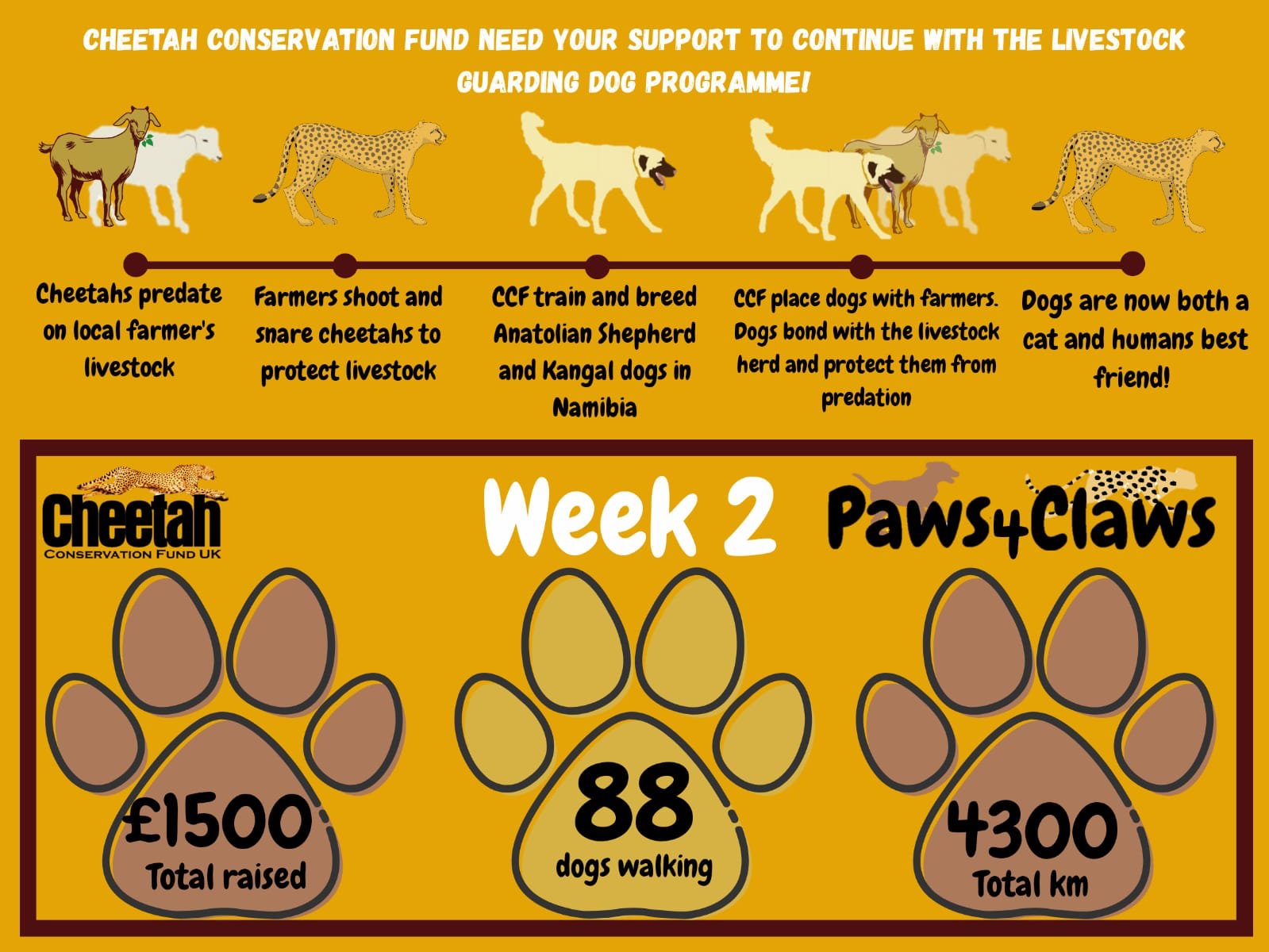 How Do You Raise Bond With D Dog