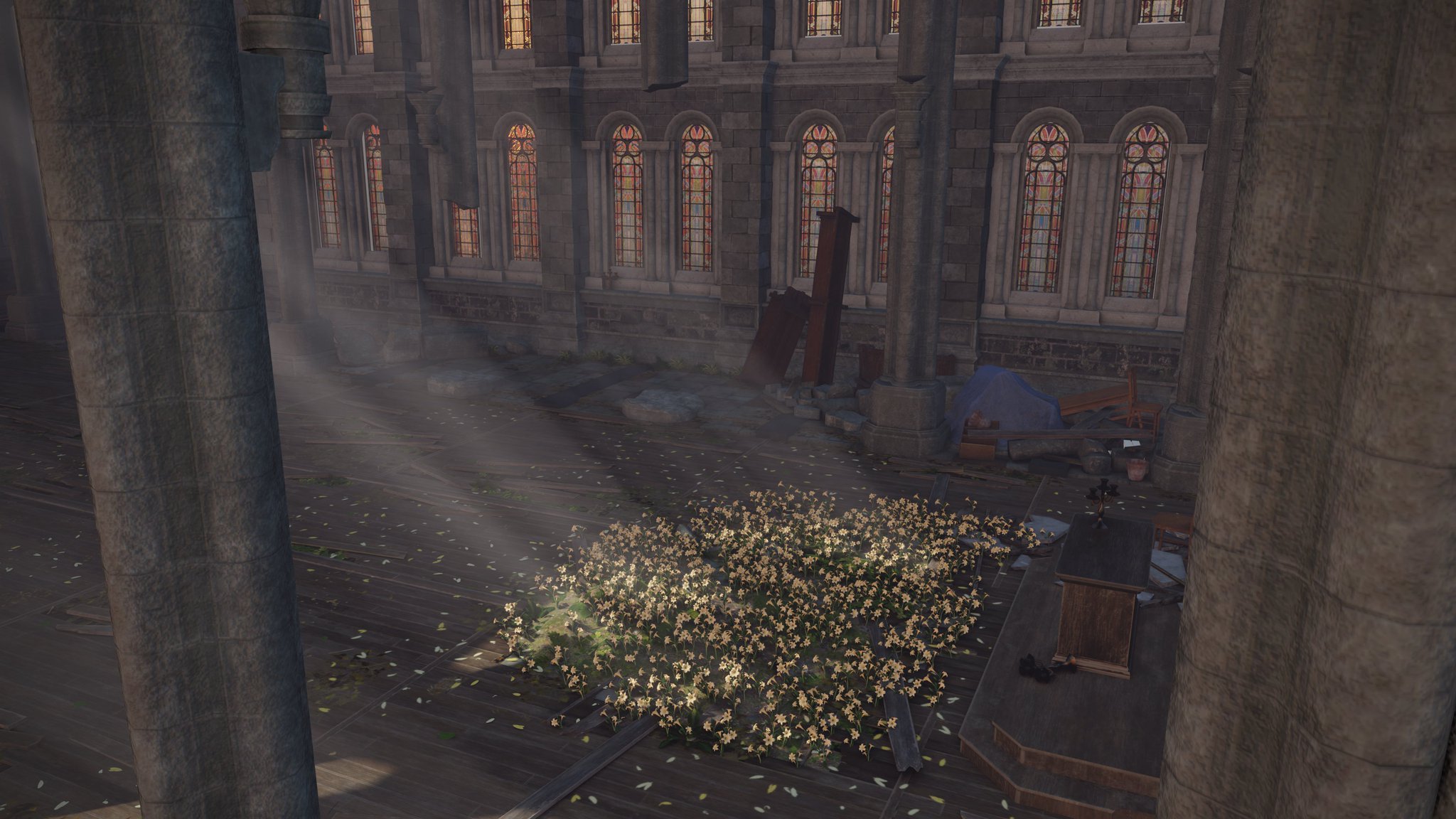 TW Pornstars - 3 pic. QOC. Twitter. Hey, we've got flowers! Everything ...