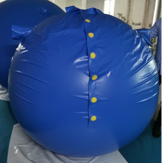 Blueberry Inflation Suit