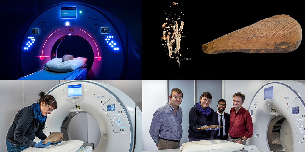 Home - Canon Medical Systems Europe