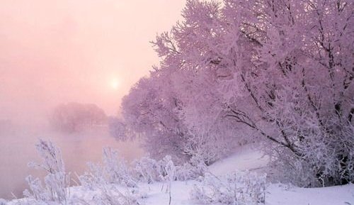 Twitter Headers Snow