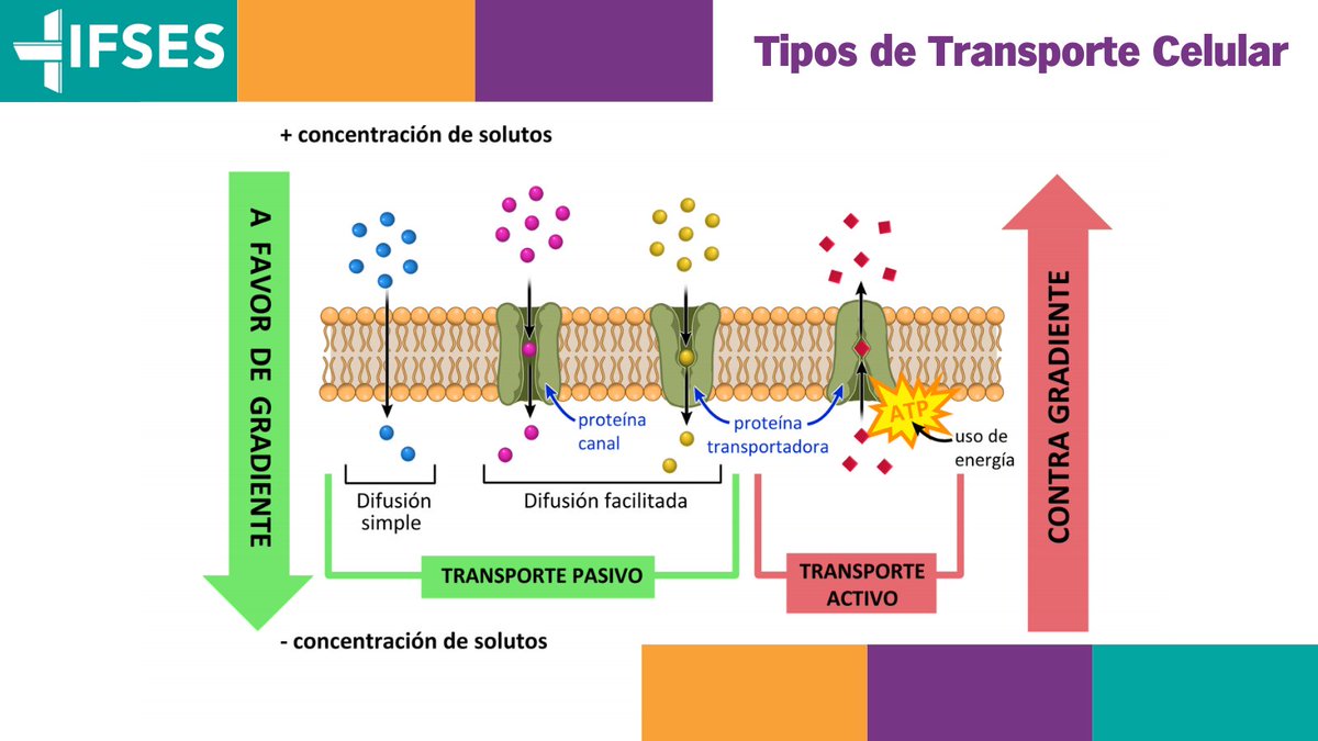 Diagramadedifusionsimple