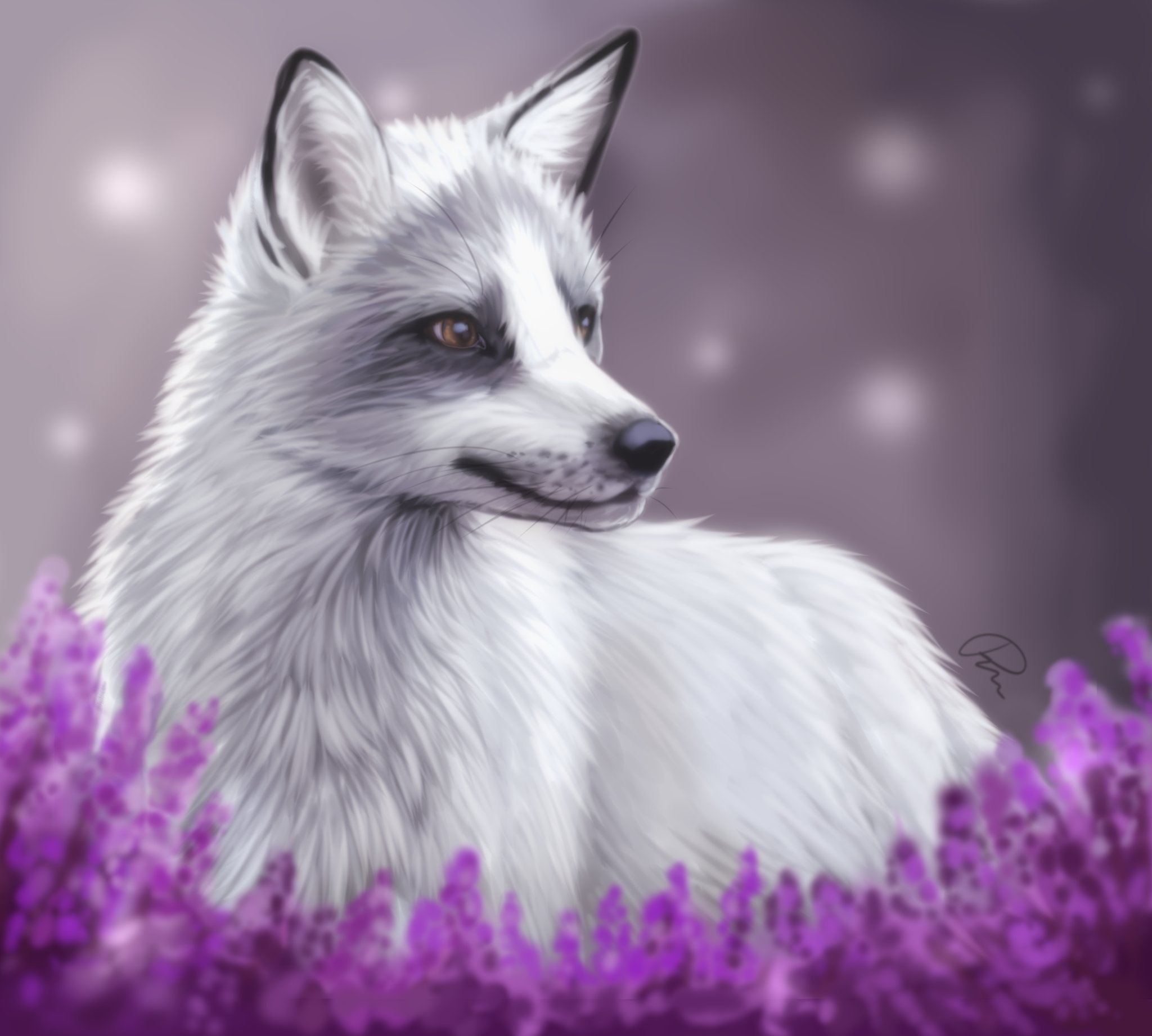 Beautiful Fox Drawing