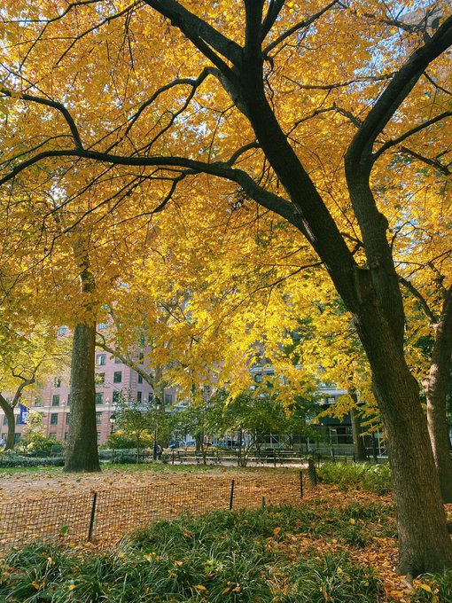 TW Pornstars - Vivienne Cole. The most retweeted pictures and videos ...