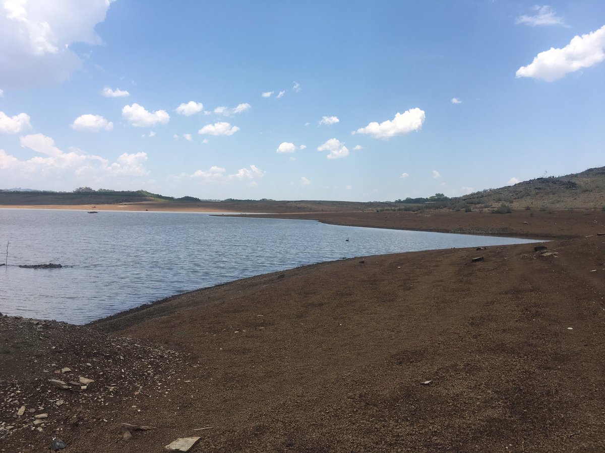 Zim Local @zimlocals Timeline, The Visualized Twitter (Analytics)