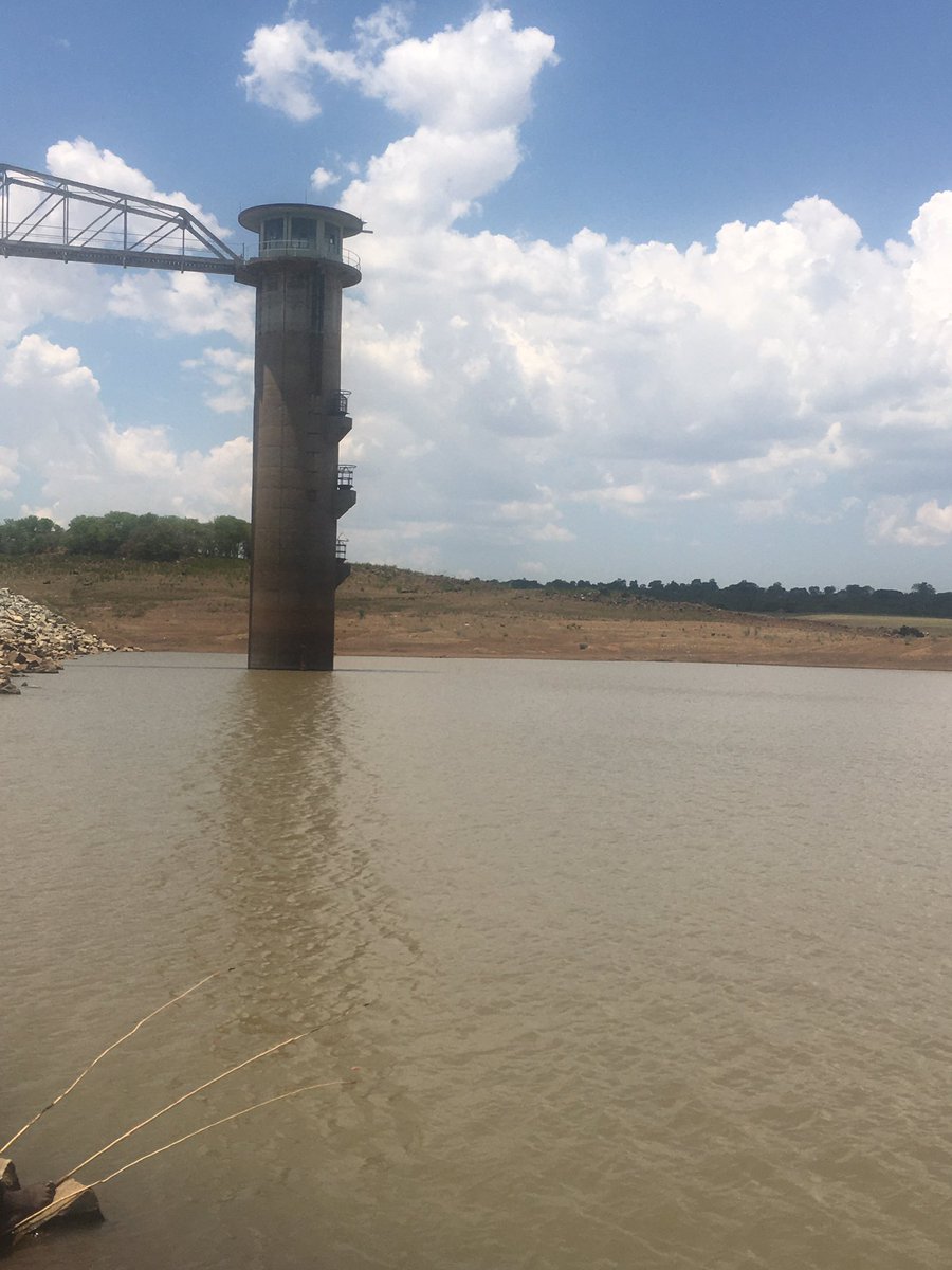 Zim Local @zimlocals Timeline, The Visualized Twitter (Analytics)