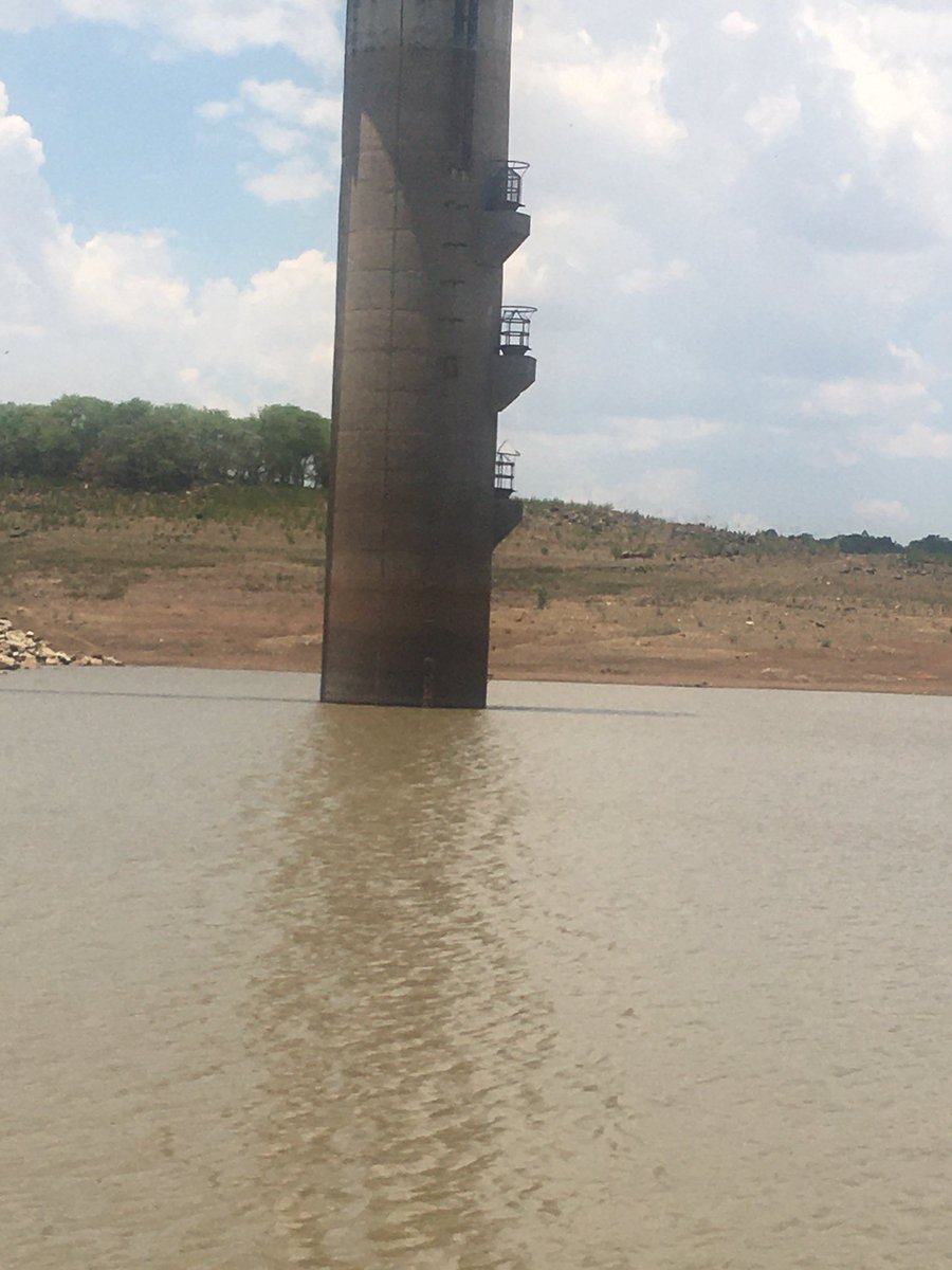 Zim Local @zimlocals Timeline, The Visualized Twitter (Analytics)