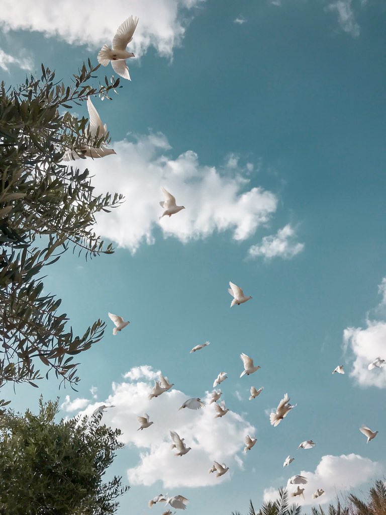 Bashayer (@iibashayer15) | Twitter