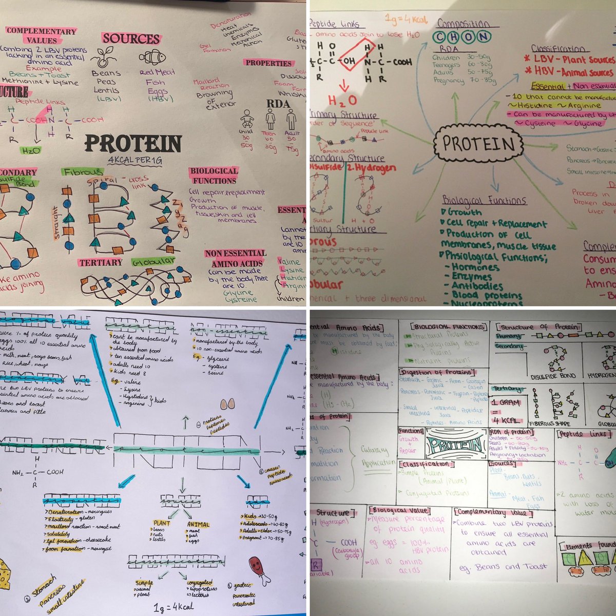Protein Concept Map