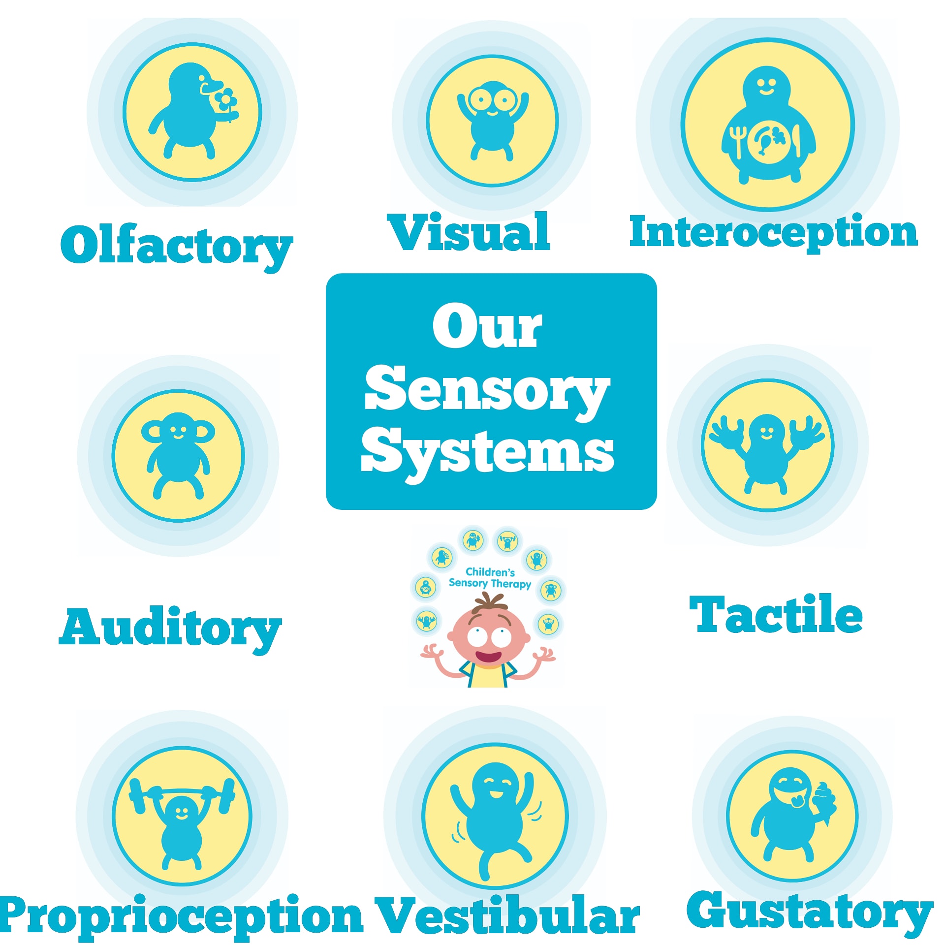 Children's Sensory Therapy Ltd on Twitter: "Our Sensory Systems. # ...