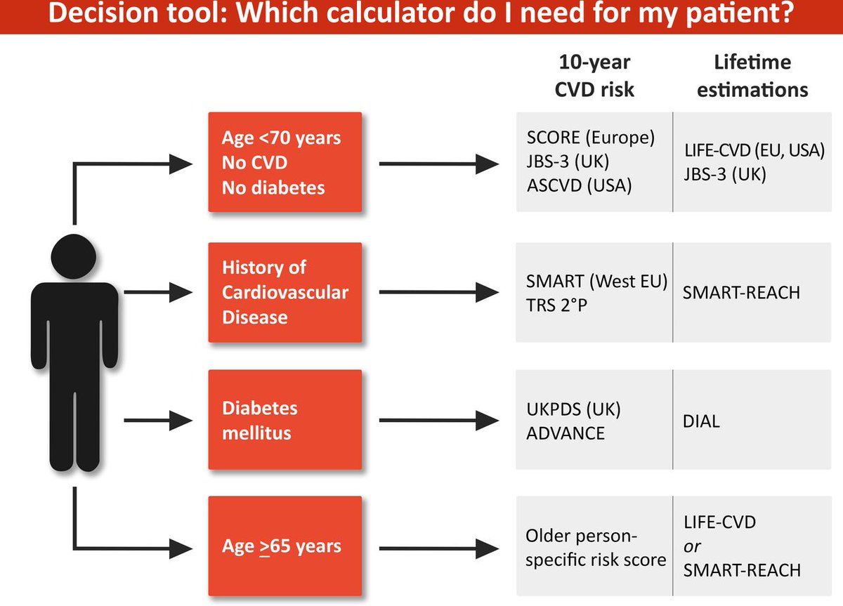 Ten Year Cvd Risk Calculator Faizanreagan