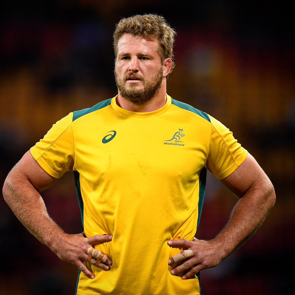 ACT Brumbies : Latest News and transfers | Rugby Addict