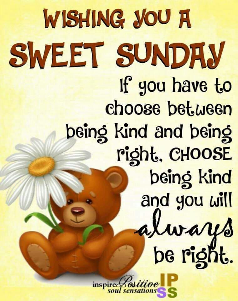 Sondag Quotes
