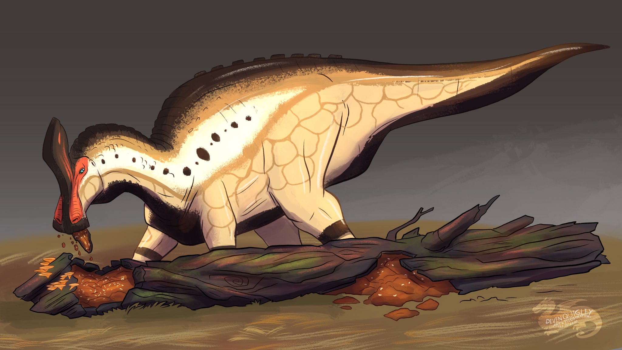 Tsintaosaurus