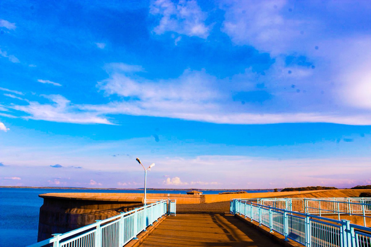 Zim Local @zimlocals Timeline, The Visualized Twitter (Analytics)