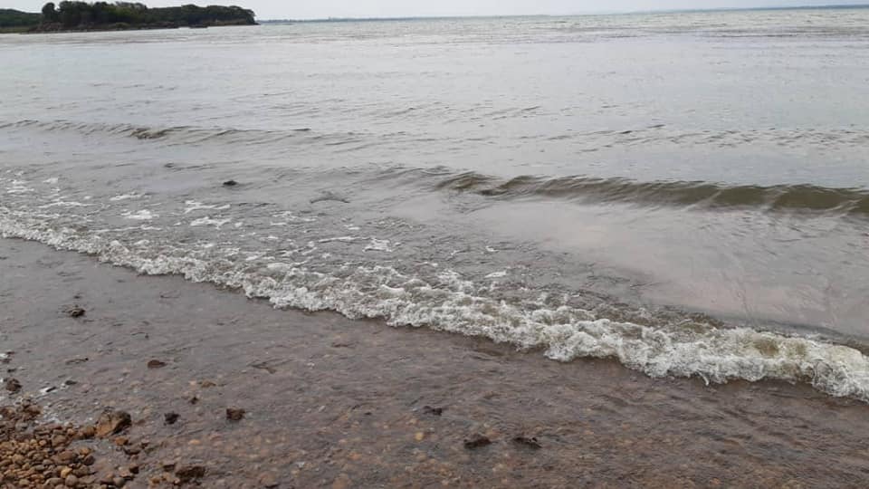 Zim Local @zimlocals Timeline, The Visualized Twitter (Analytics)