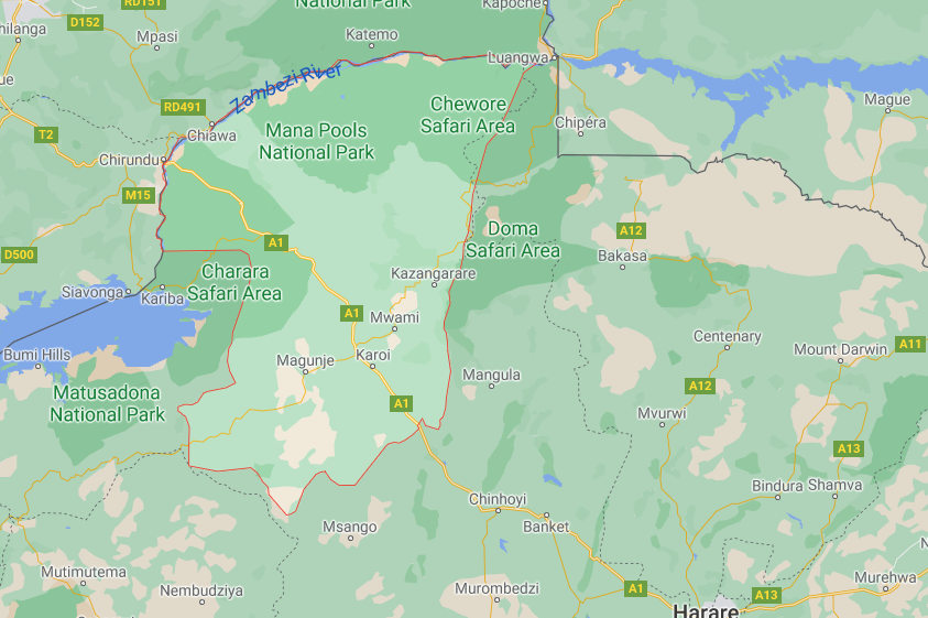 Zim Local @zimlocals Timeline, The Visualized Twitter (Analytics)