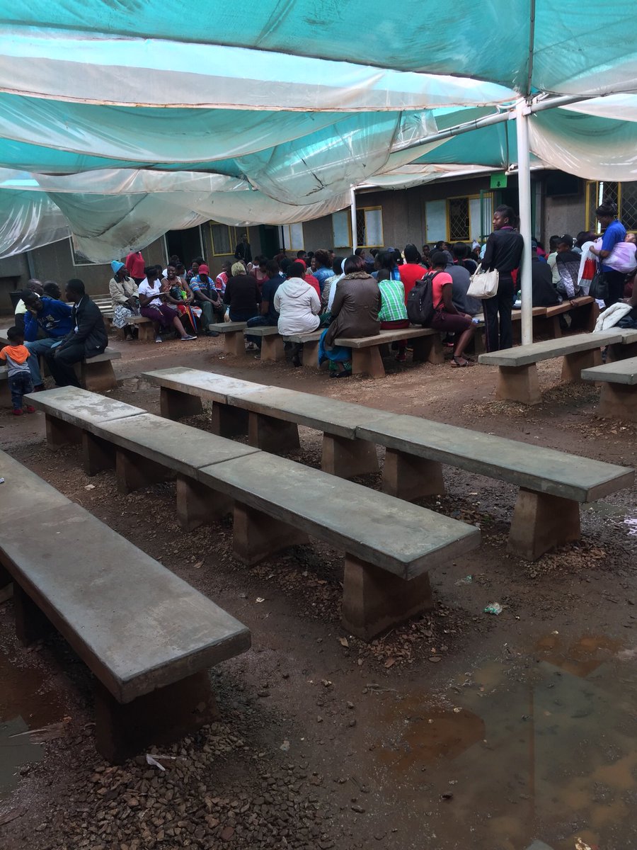 Zim Local @zimlocals Timeline, The Visualized Twitter (Analytics)