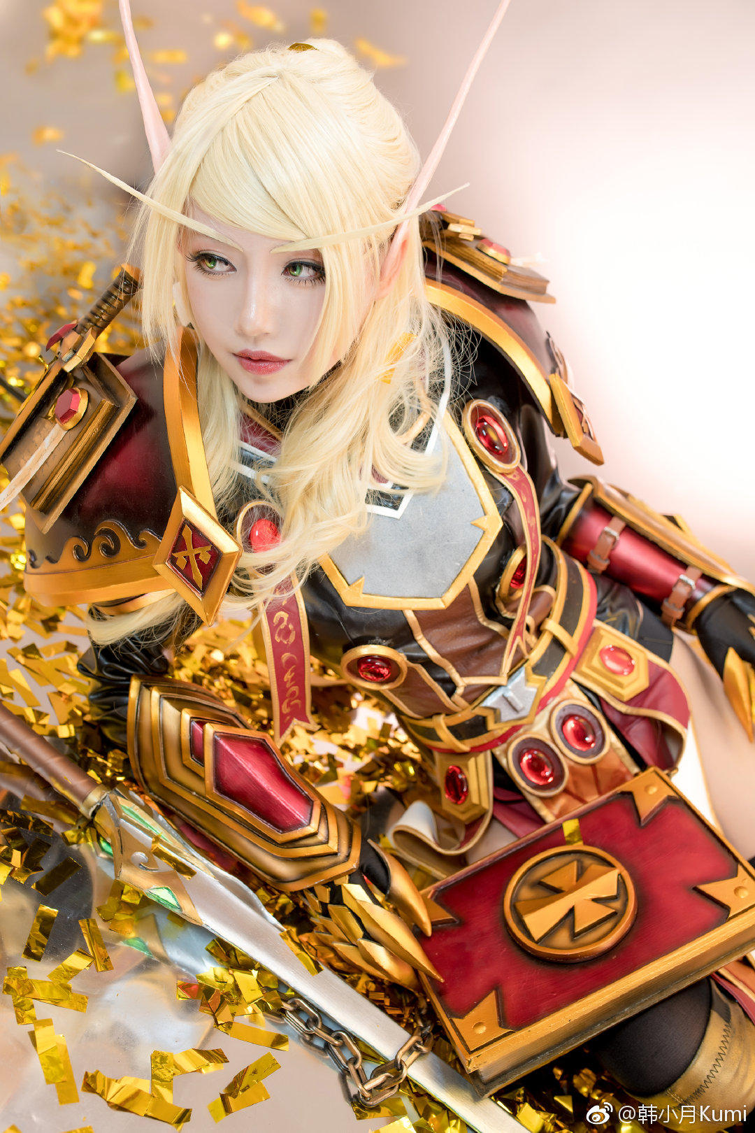 Wow Cosplay Paladin