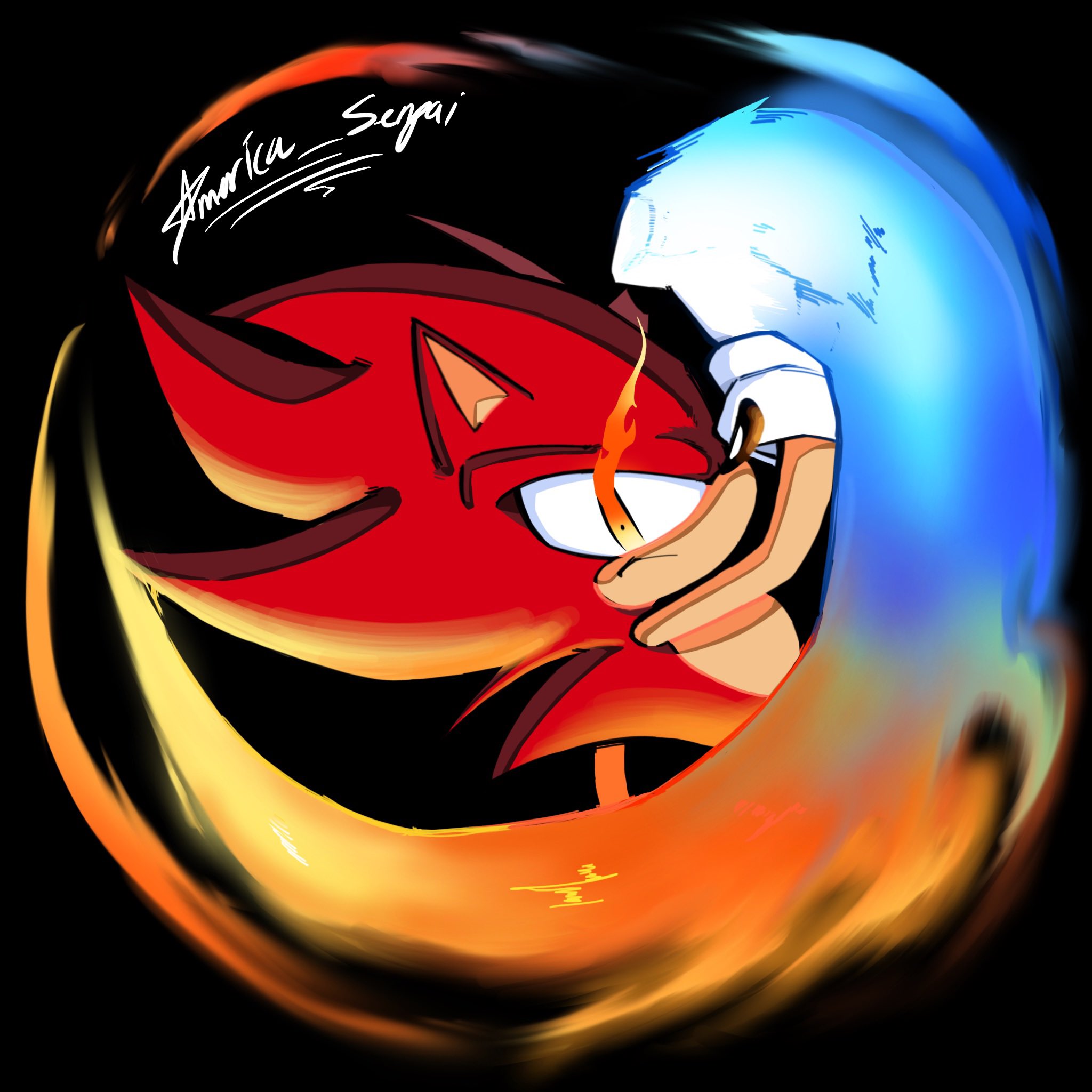 Fire Sonic Vs Ice Shadow