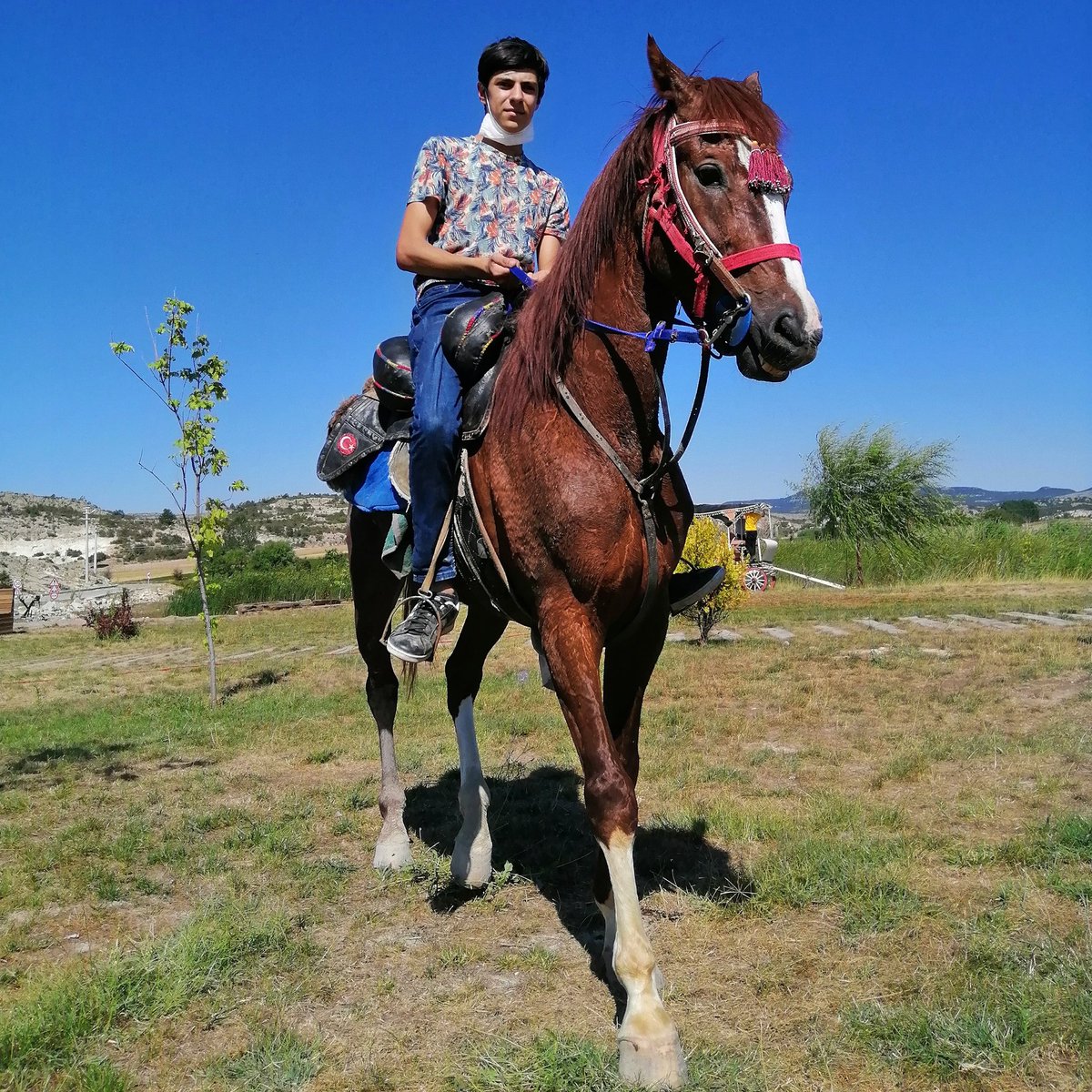 Ozan kaplan (@Ozan75981580) | Twitter