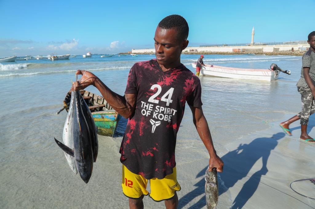Somalia Fish