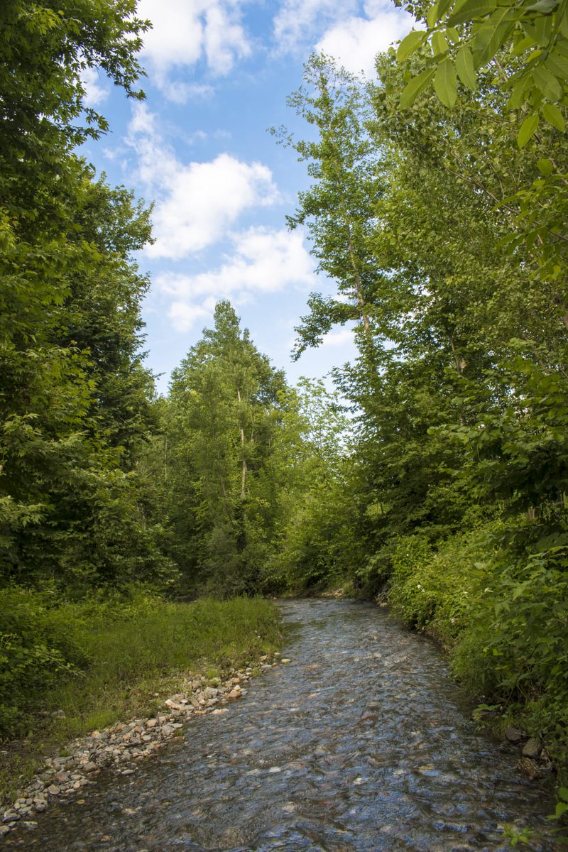 Bekir Samet YILDIZ (@YildiSamet) | Twitter