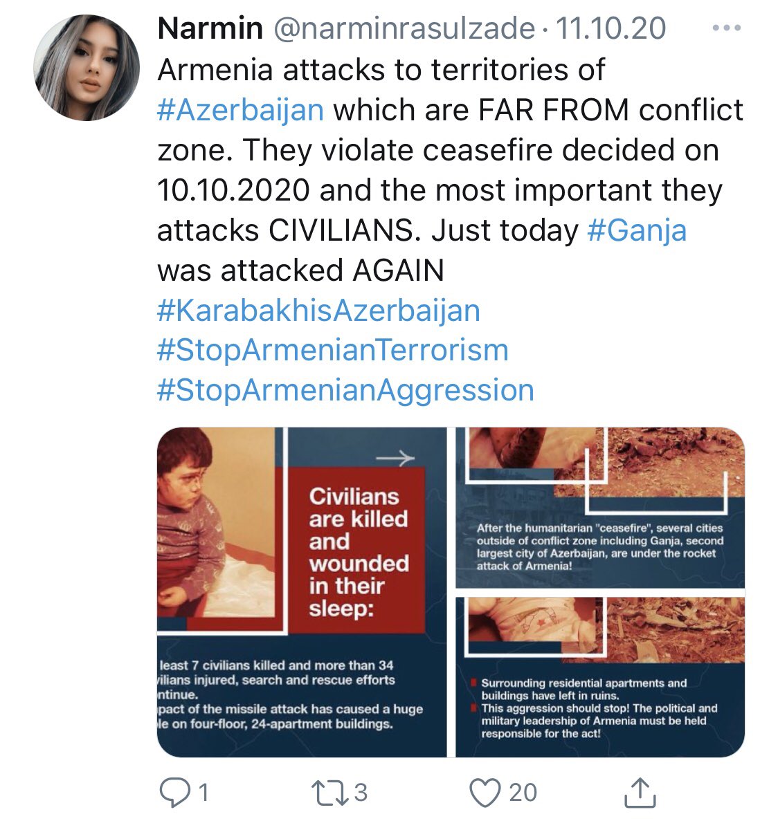 Narmin🦕 (@narminras) | Twitter