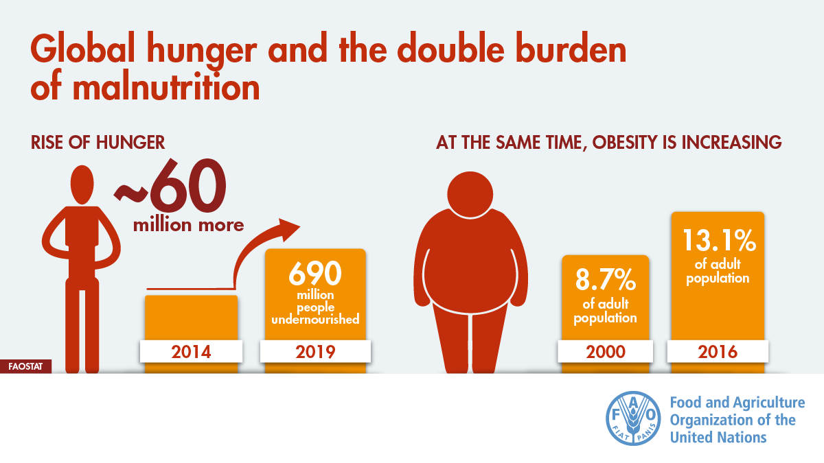 Obesity Malnutrition ASN Supports National Childhood Obesity Month