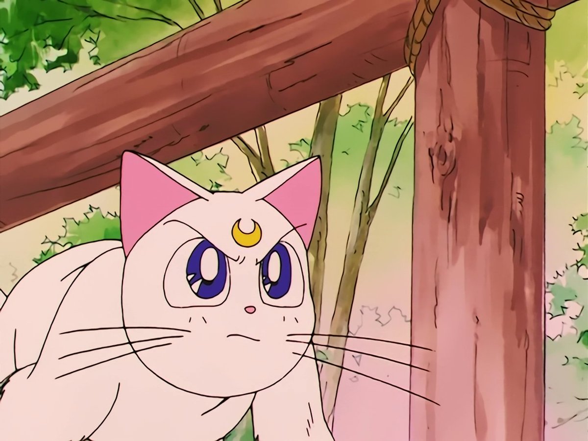 Artemis Sailor Moon Quote